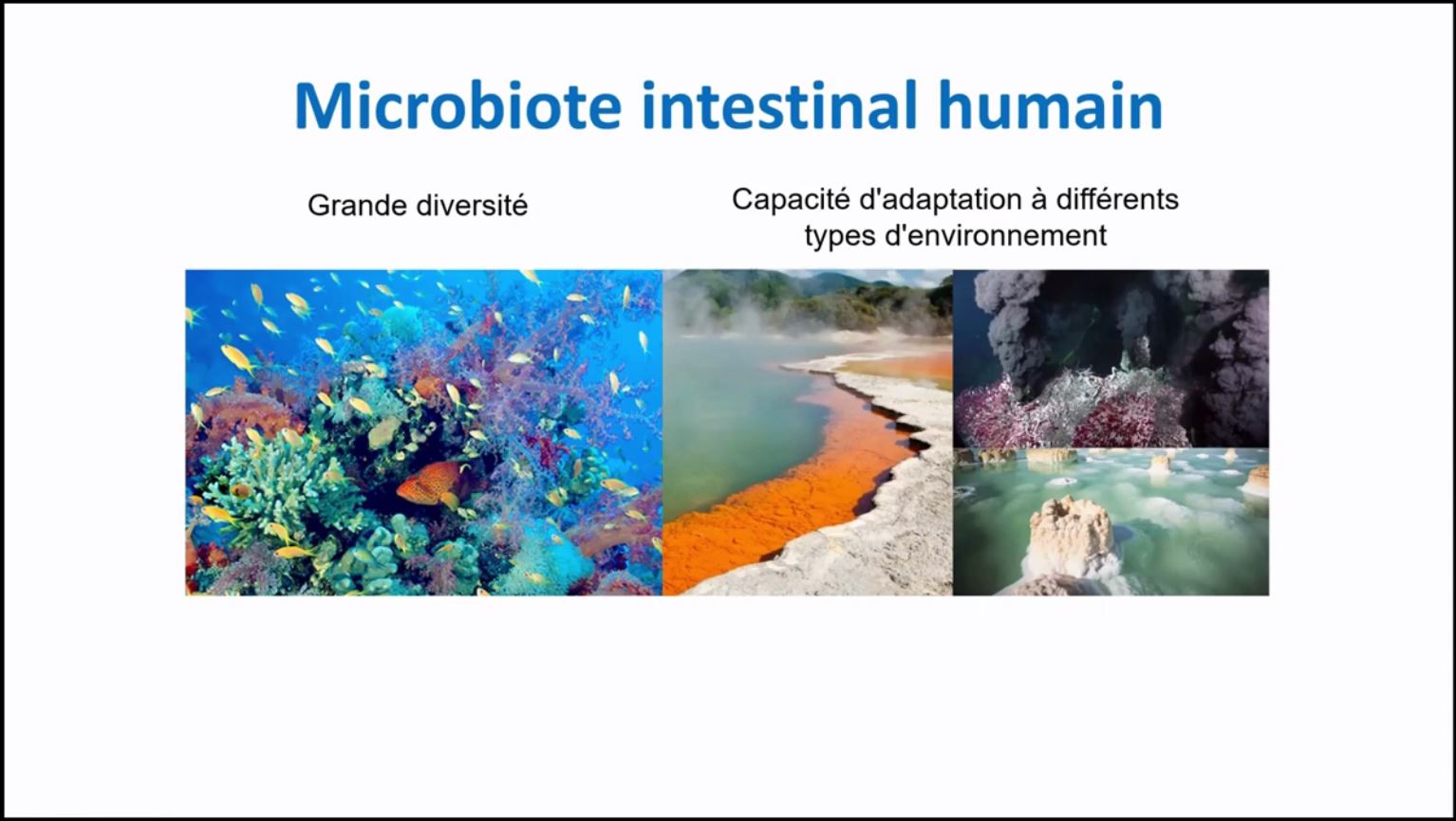 Le microbiote intestinal et ses déséquilibres – conférence du Pr Sokol