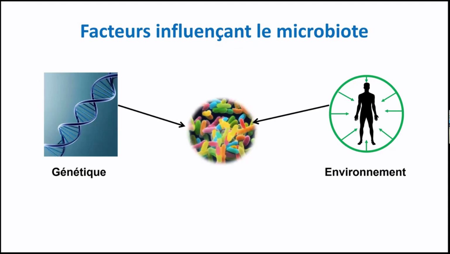 Le microbiote intestinal et ses déséquilibres – conférence du Pr Sokol