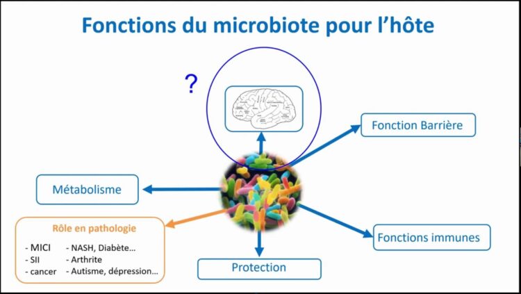 Le microbiote intestinal et ses déséquilibres – conférence du Pr Sokol
