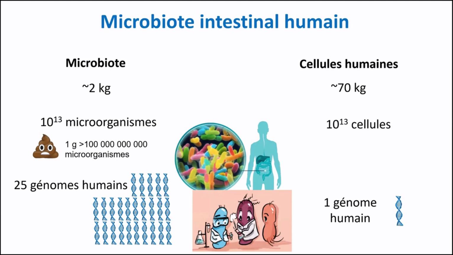 Le microbiote intestinal et ses déséquilibres – conférence du Pr Sokol