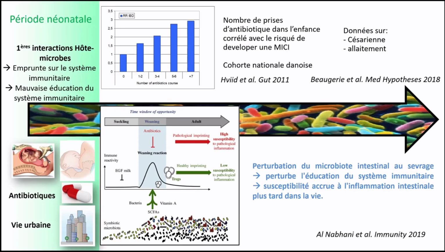 Le microbiote intestinal et ses déséquilibres – conférence du Pr Sokol